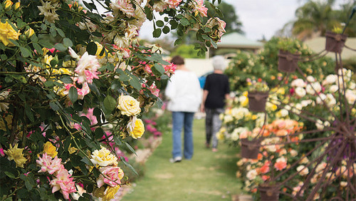 Riverland Gardens 2023 – Christian Fellowship Tours